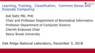 Learning, Training, Classification, Common Sense and Exascale Computing ...