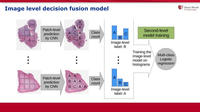 Learning, Training, Classification, Common Sense and Exascale Computing ...