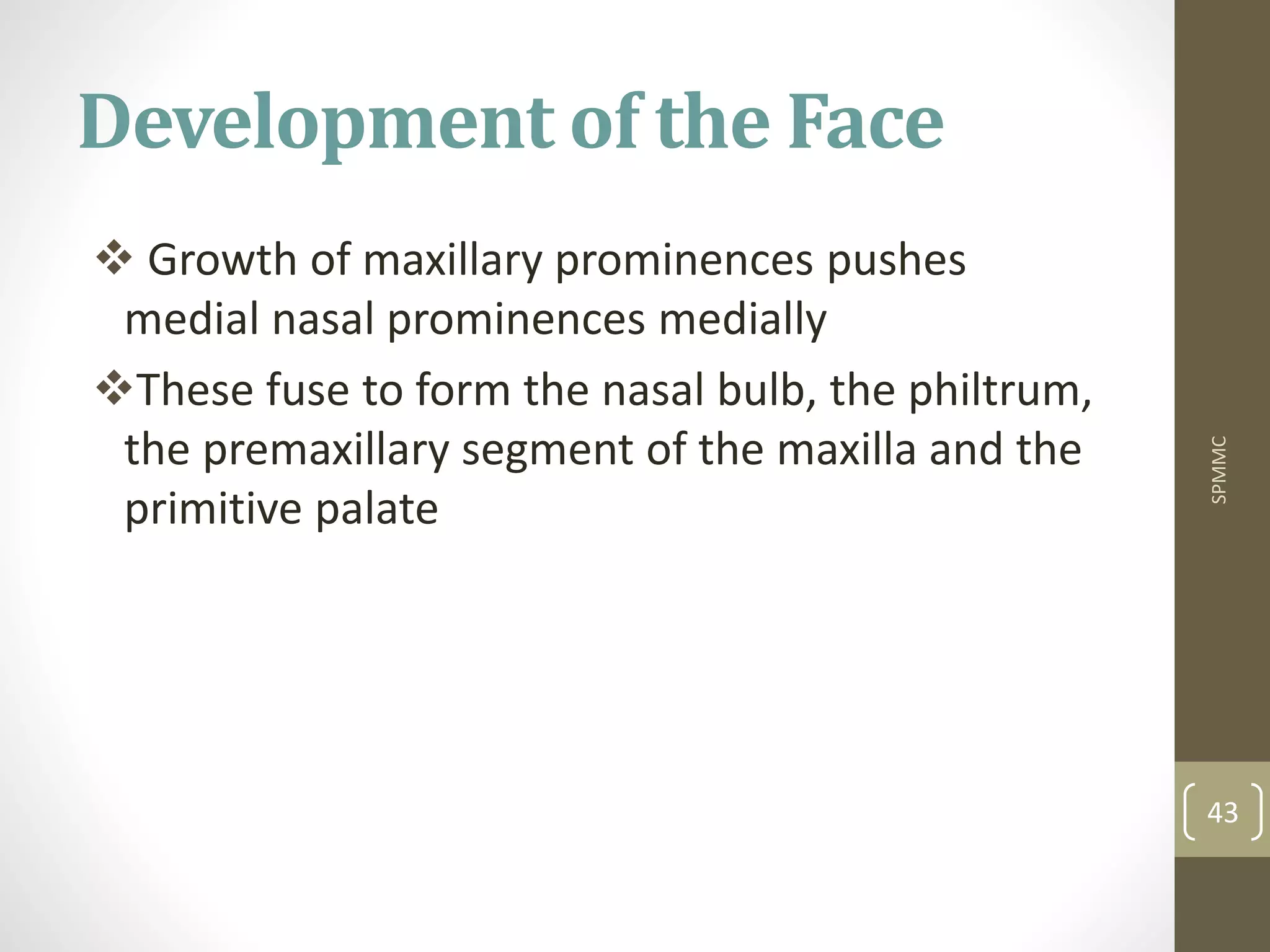 Oro facial embryogenesis | PPTX