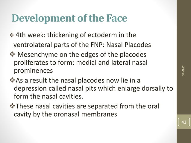 Oro facial embryogenesis | PPT