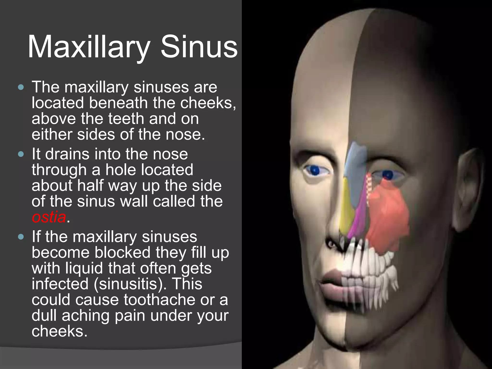 Oro – antral communication | PPTX