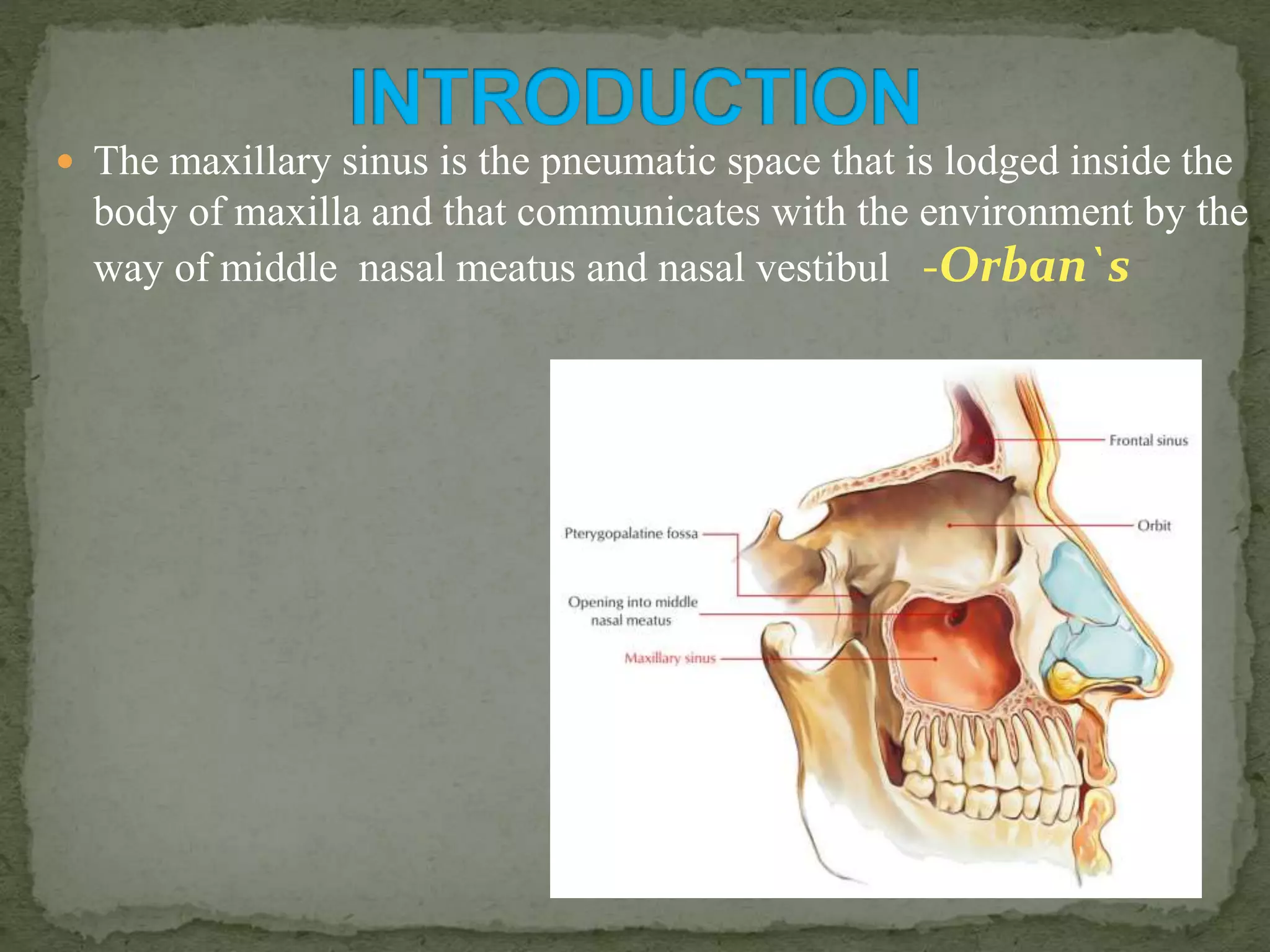 Oroantral Fistula | PPTX