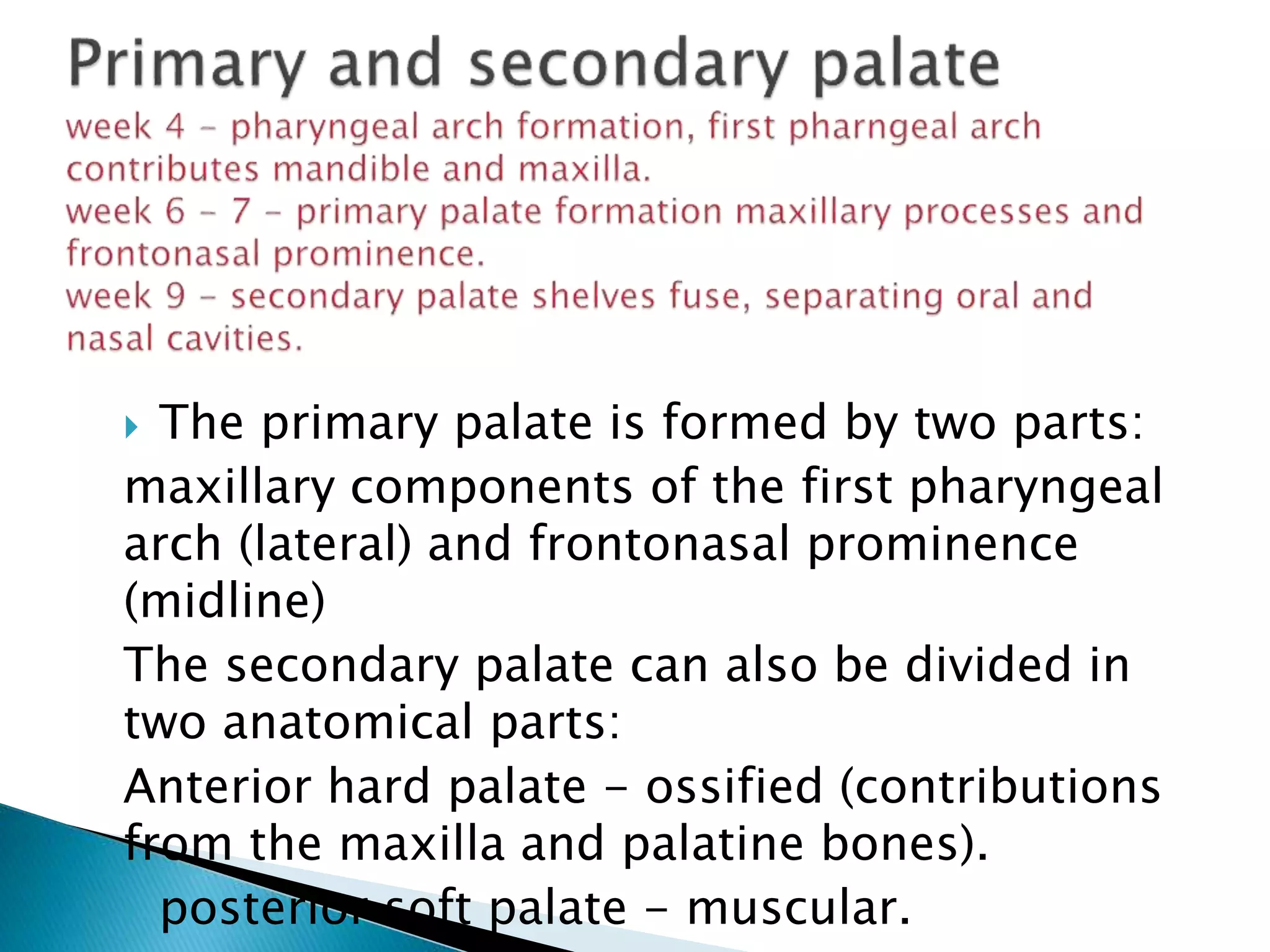 Orofacial clefts | PPTX