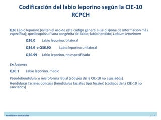 labio leporino | PPTX