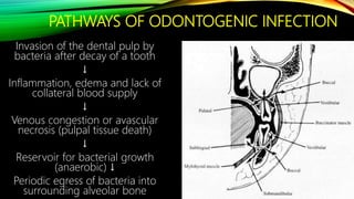 Orofacial infection part 1 | PPTX