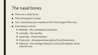 Anatomy - Orofacial skeleton | PPTX