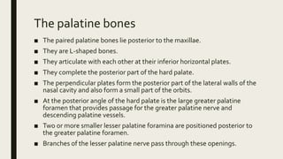 Anatomy - Orofacial skeleton | PPTX