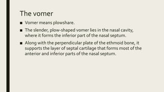 Anatomy - Orofacial skeleton | PPTX
