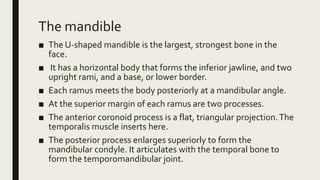 Anatomy - Orofacial skeleton | PPTX