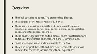 Anatomy - Orofacial skeleton | PPTX