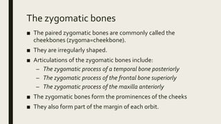 Anatomy - Orofacial skeleton | PPTX
