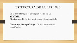 Orofaringe | PPT