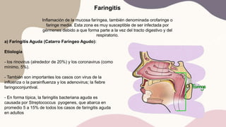 Orofaringe Laringe y Tiroides, examen físico | PPTX