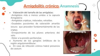 orofaringe y laringofaringe.pdf