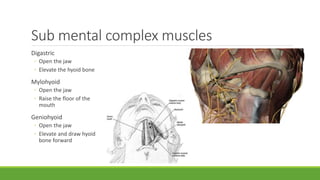 Oromandiular dystonia and spasmodic dysphonia | PPTX