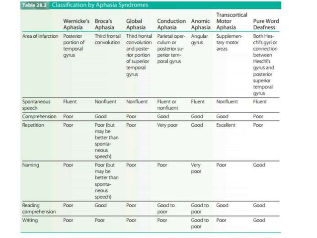 Oromotor rehabilitationppt.pptx | Brain and Nervous System Disorders ...