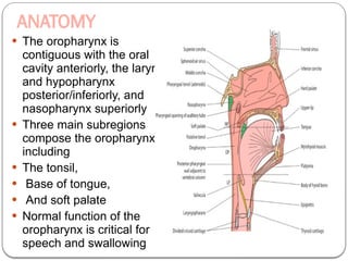 OROPHARYNX Cancer description anatomy +rt | PPTX