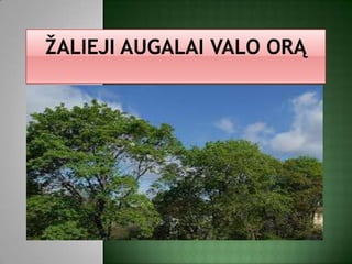 Oro tarša | PPTX