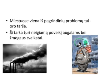 Oro tarša. Biologija | PPTX