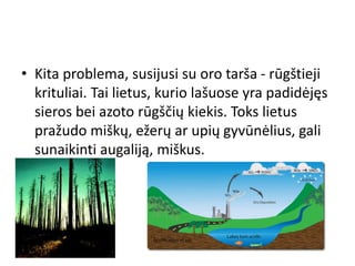 Oro tarša. Biologija | PPTX