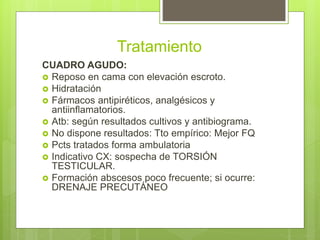 Orquitis | PPTX