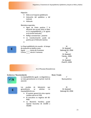 Orquitis epidimitis niño y adulto | PDF