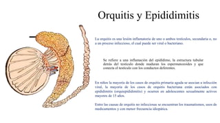 Orquitis y Epididimitis | PPTX