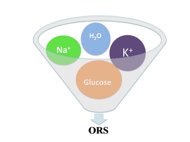 ORS- Oral Rehydration Solution | PPTX | Nutrition | Healthy Living