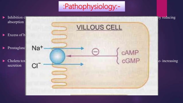 Ors-preparation | PPTX