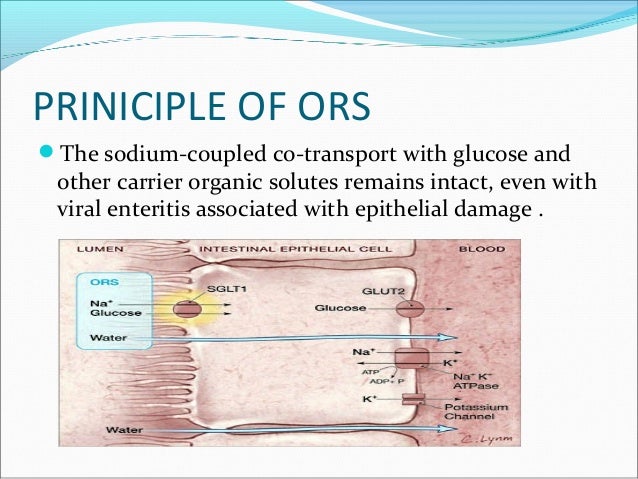 Ors indore pedicon 2014 workshop