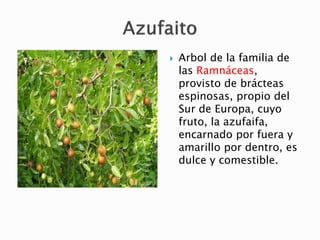 Familias de plantas frutales | PPTX