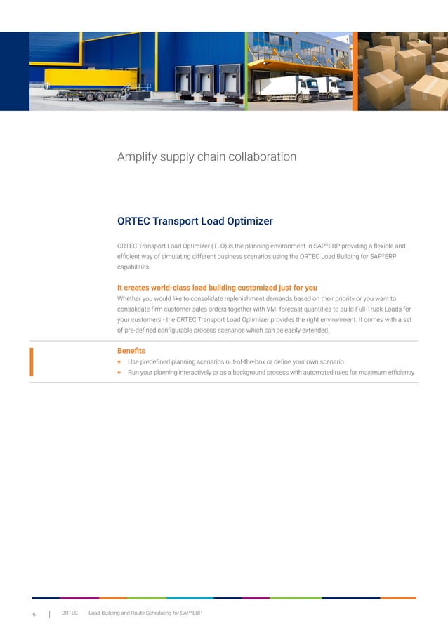 ORTEC SAP Solutions | PDF