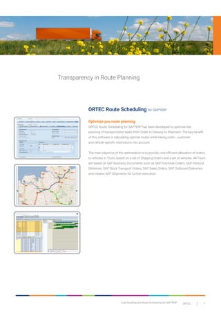 ORTEC SAP Solutions | PDF