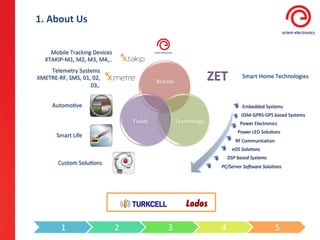 Ortem Electronics 2011 | PPT