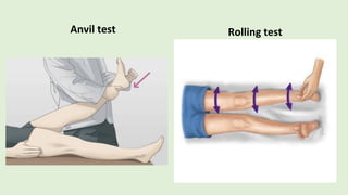 Ortho ธมลวรรณ | PDF