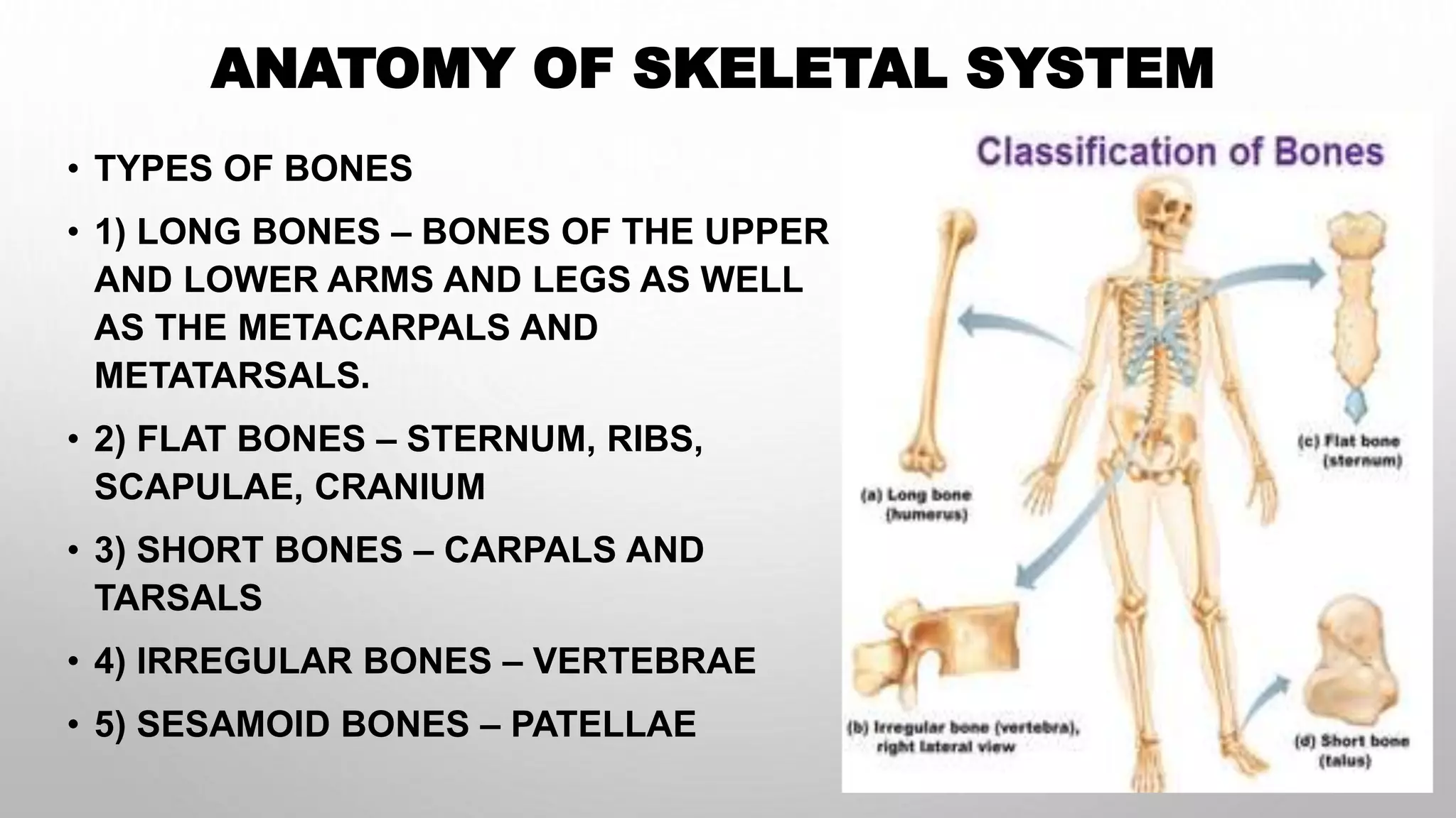 nursing assessment and systemic examination of orthopaedic system | PPTX