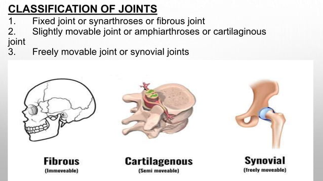 nursing assessment and systemic examination of orthopaedic system ...