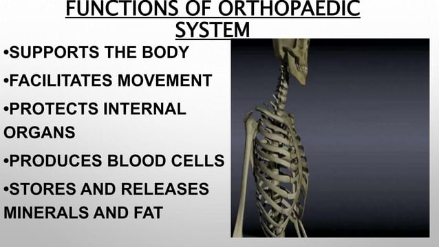 nursing assessment and systemic examination of orthopaedic system ...