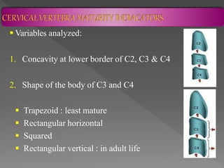 CERVICAL VERTEBRA MATURITY INDICATORS | PPTX