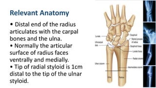 Distal end radius, monteggia and galleazi fractures. | PPTX