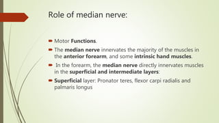 Ortho examination of median nerve | PPTX