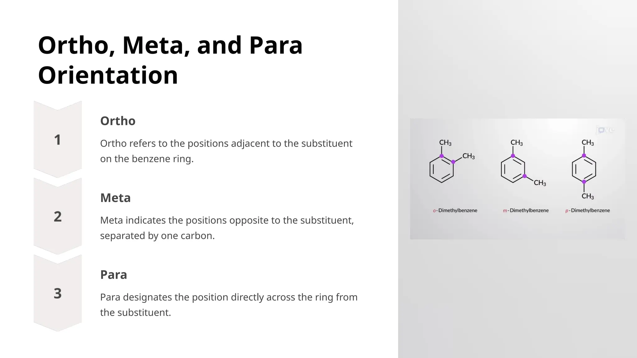 Benzene and Its derivatives Ortho and Para Directors.pptx