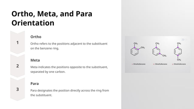 Benzene and Its derivatives Ortho and Para Directors.pptx