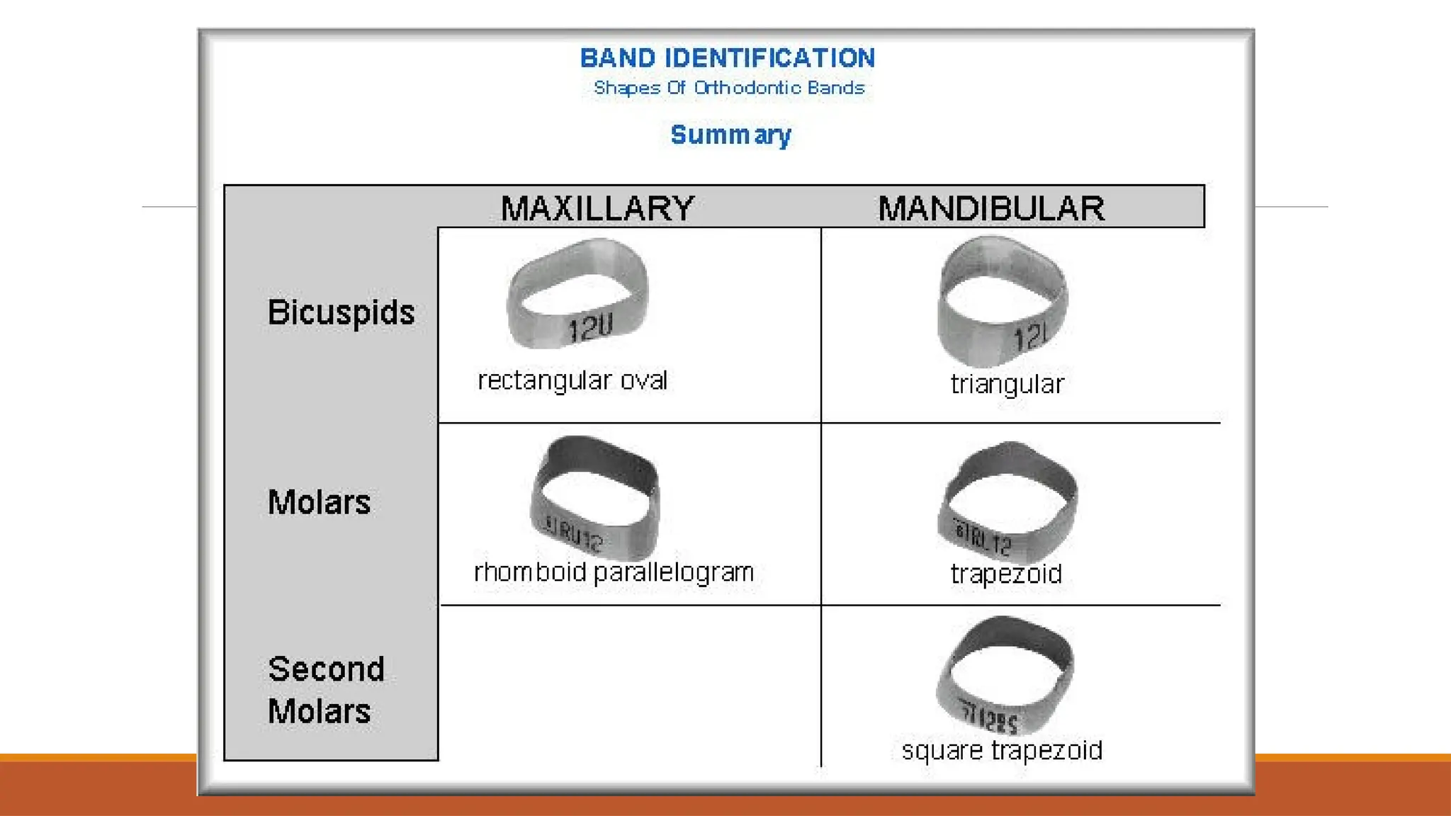 ORTHO BANDS.pptx vgghj hgjbk bk bjk j nk,n,jk | PPT