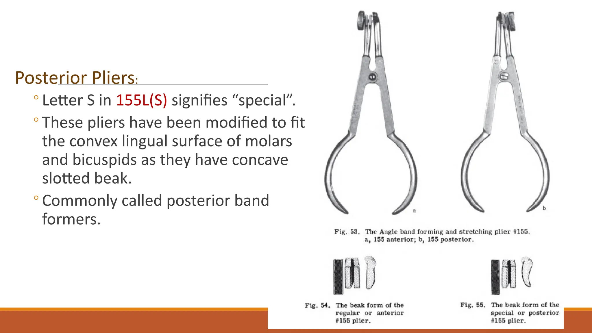ORTHO BANDS.pptx vgghj hgjbk bk bjk j nk,n,jk | PPT