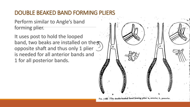 ORTHO BANDS.pptx vgghj hgjbk bk bjk j nk,n,jk | PPT