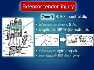 Ortho conference | PPTX
