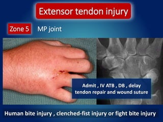 Ortho conference | PPTX