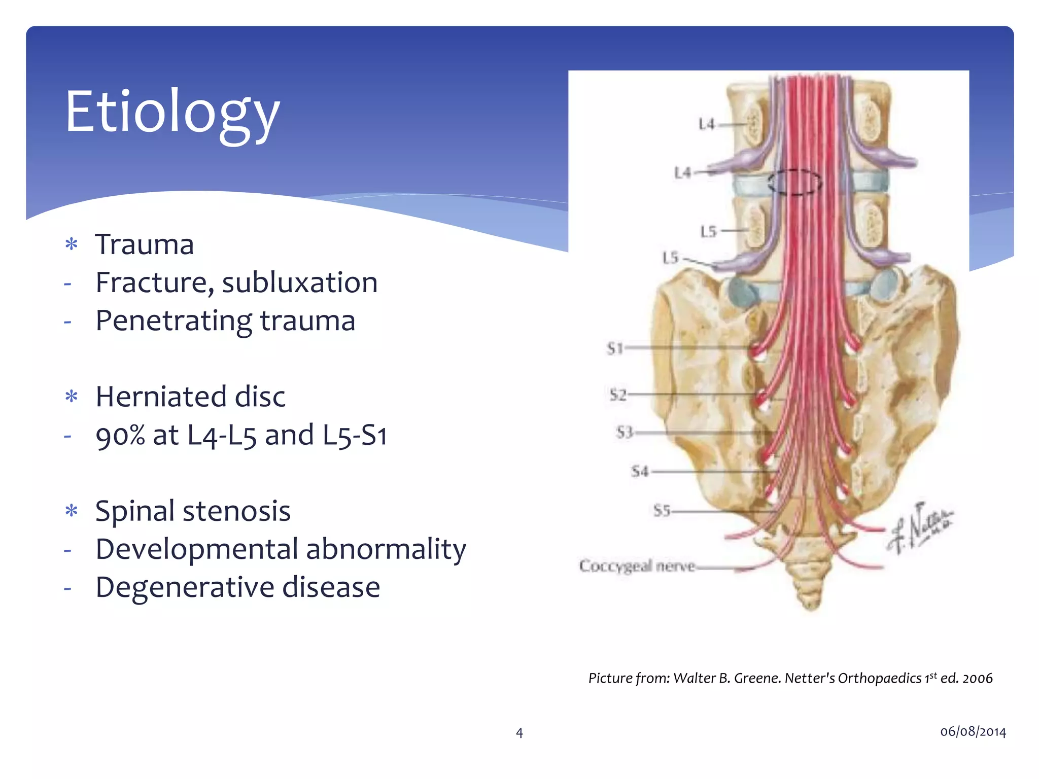 Conus medullaris and cauda equina syndrome | PPTX