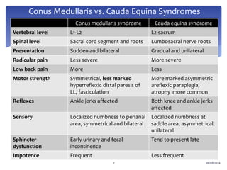 Conus medullaris and cauda equina syndrome | PPTX